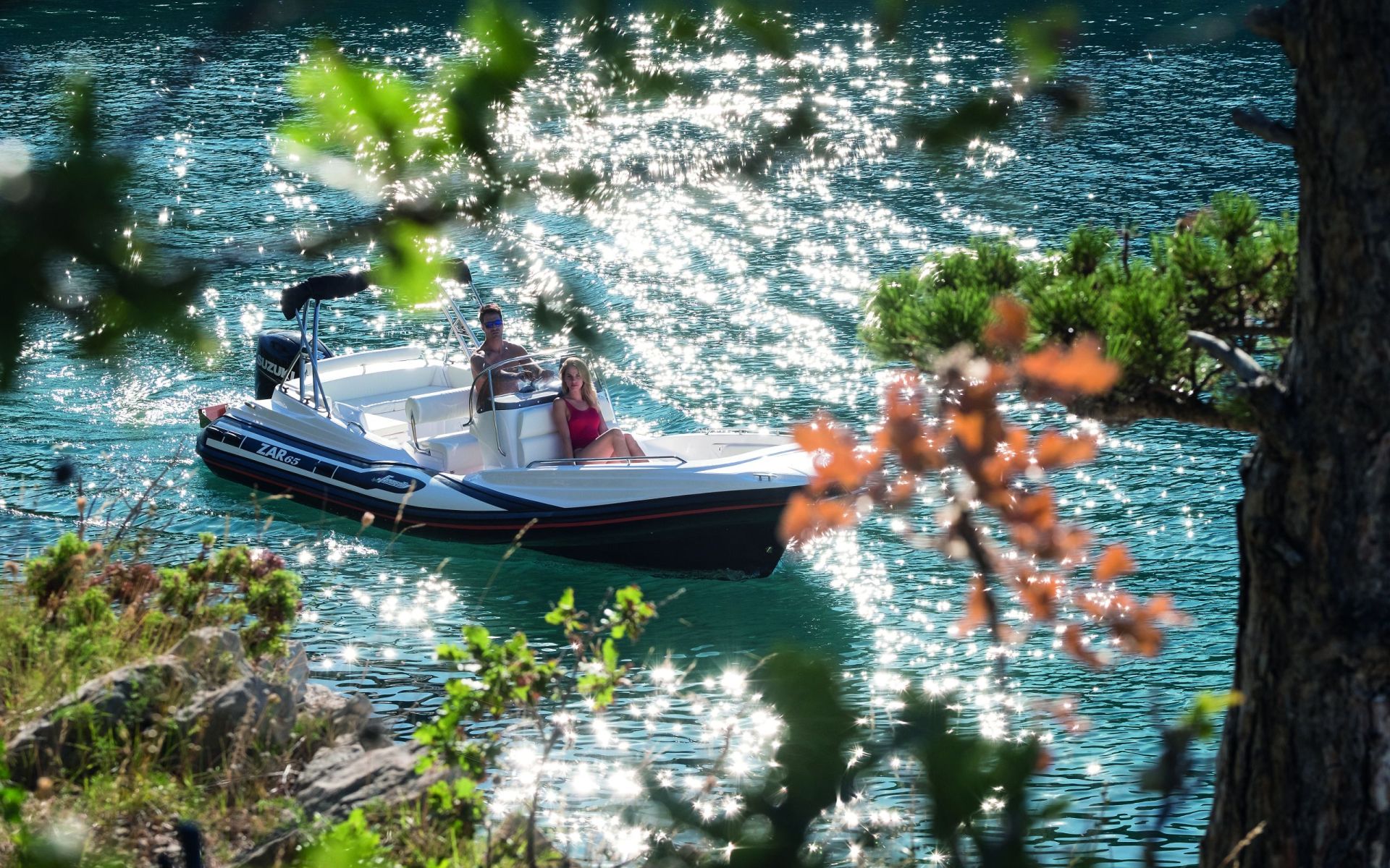 Punky & Sharky : semi-rigides Zar luxe alliant performance et style
